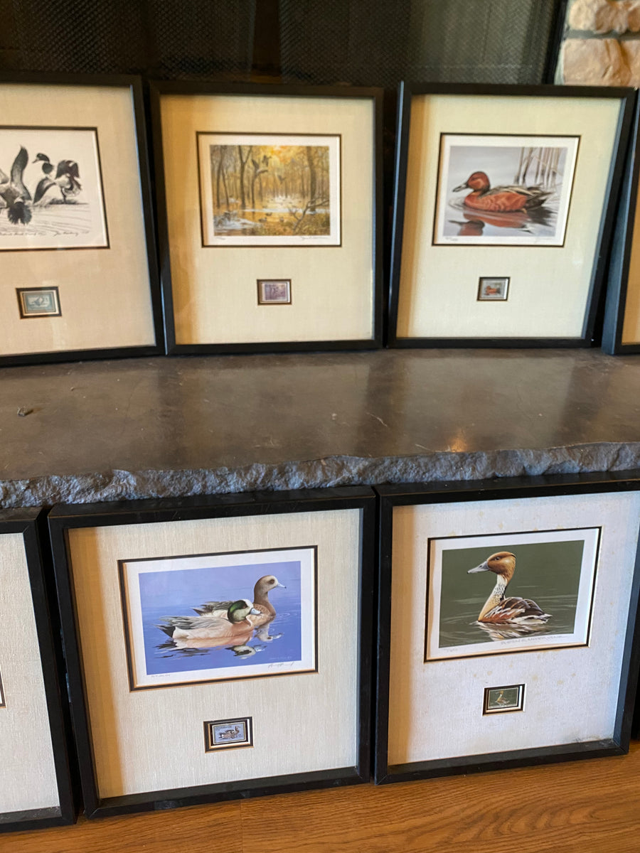 Federal & Arkansas Duck Stamp Print Collection Signed and Numbered in ...